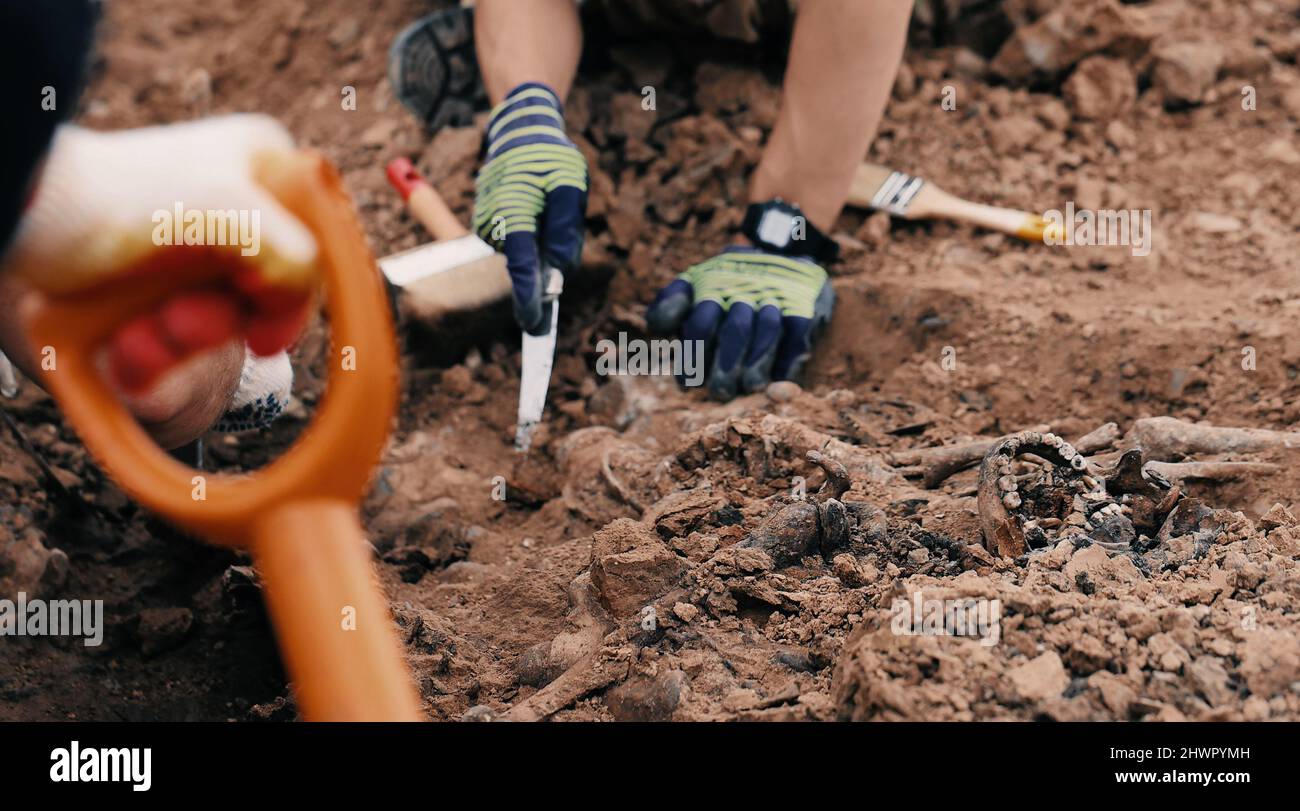 Archaeological excavations at the crime scene, Human remains in the ...