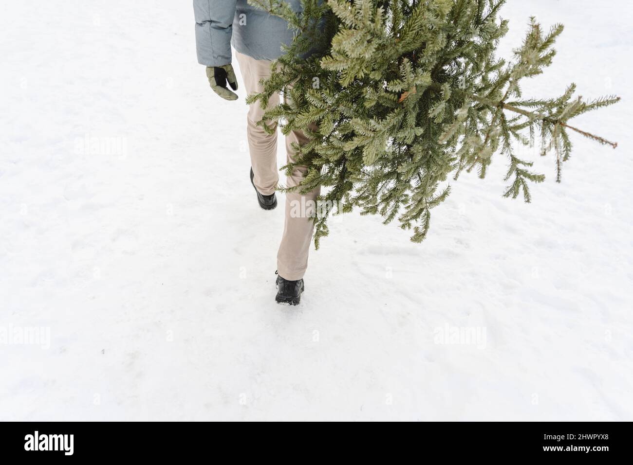 Tree walking hi-res stock photography and images - Alamy