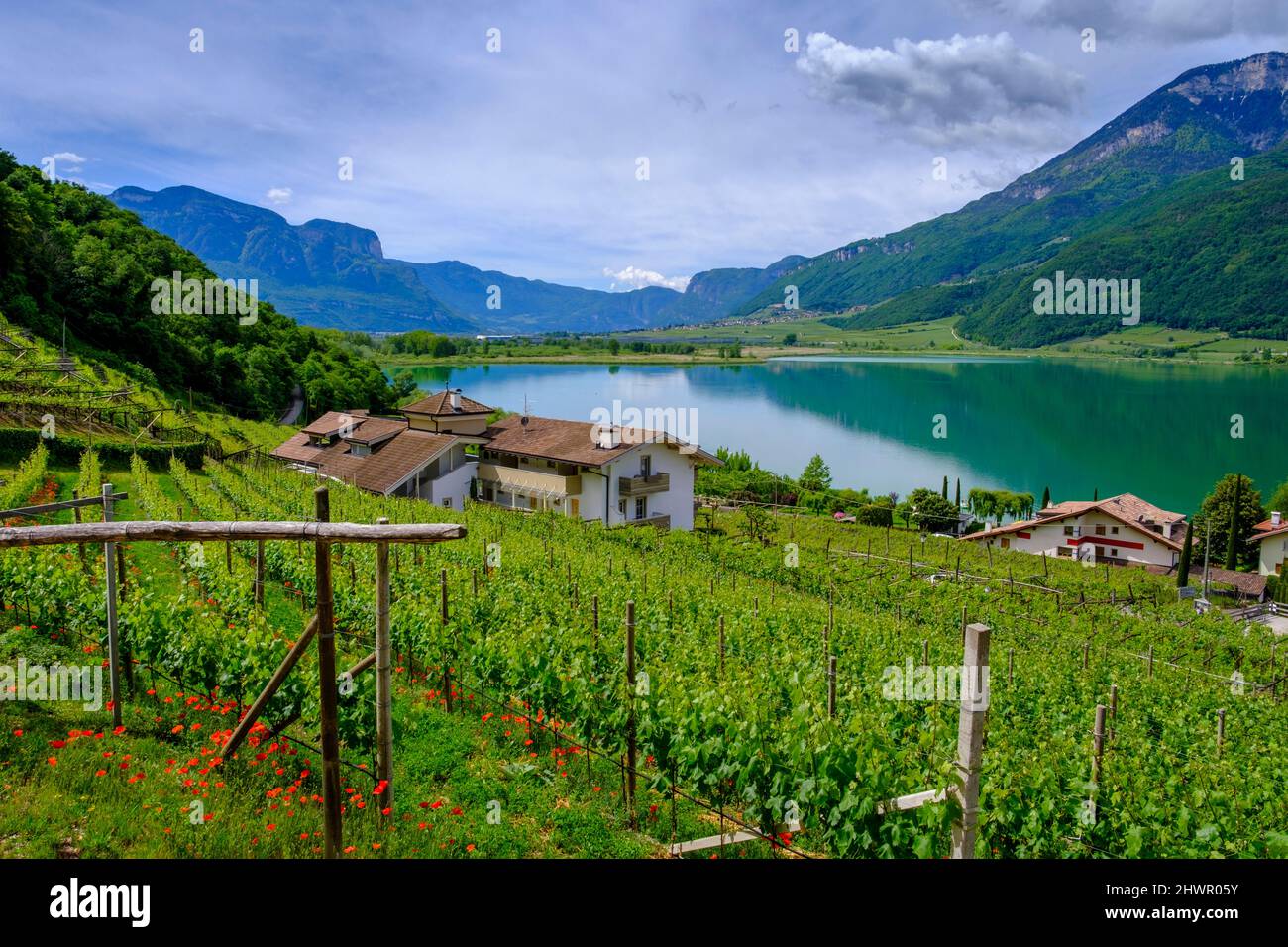 Campi al lago hi-res stock photography and images - Alamy