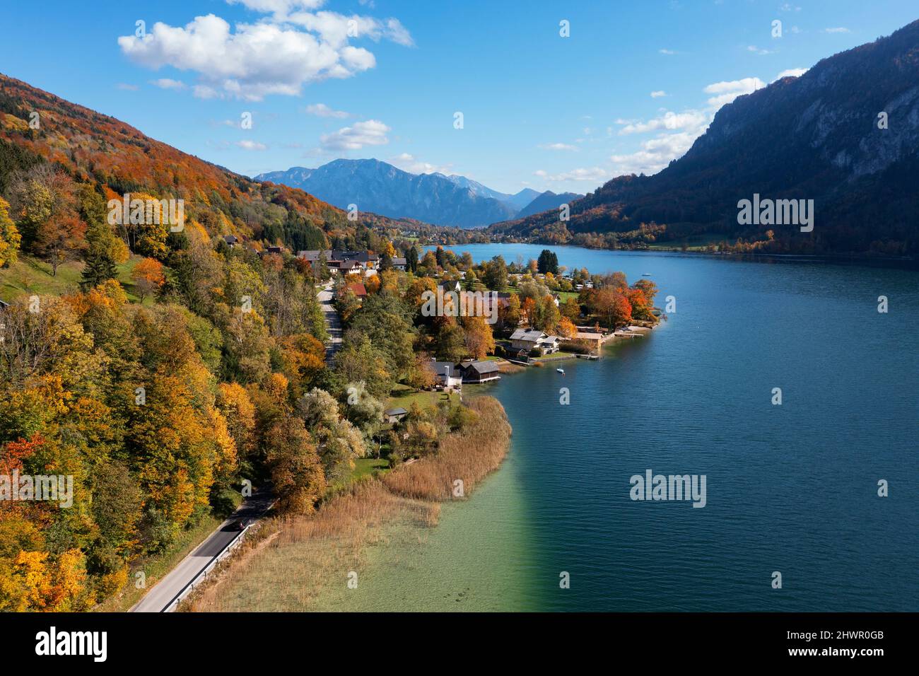 View of Mondsee lake by forest, Salzkammergut, Upper Austria, Austria ...