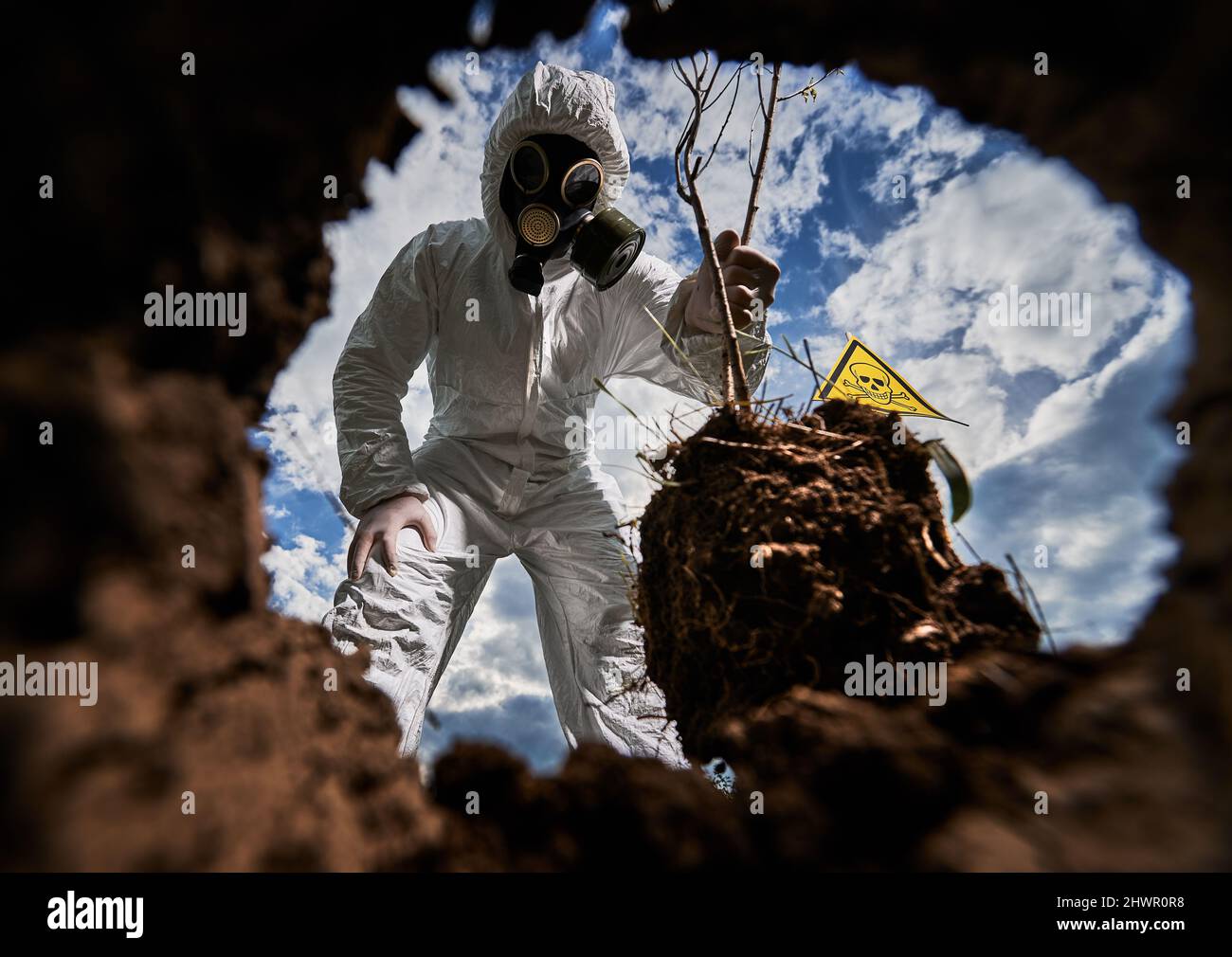 Ecologist planting tree in radioactive death zone. Professional ...