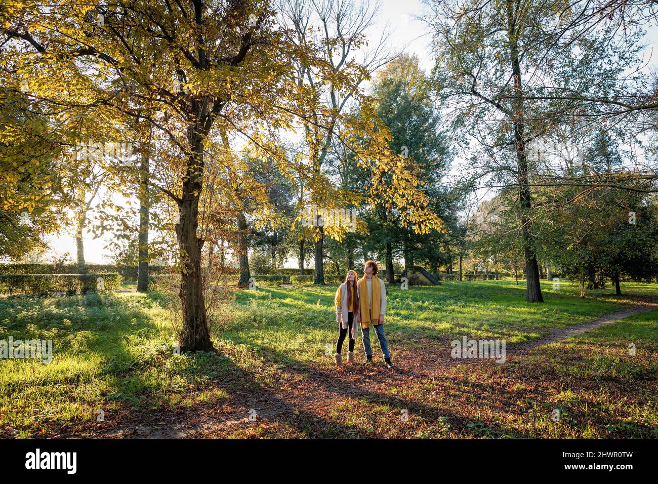 Couple holding hands looking up in autumn park Stock Photo - Alamy