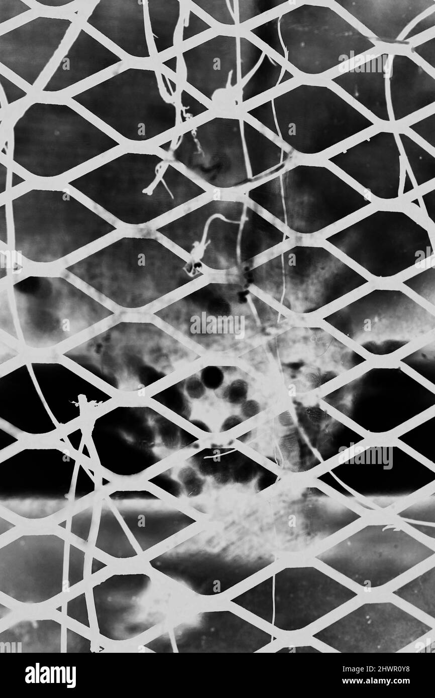 Patterned grid of a metal mesh used as a protective window covering to ...