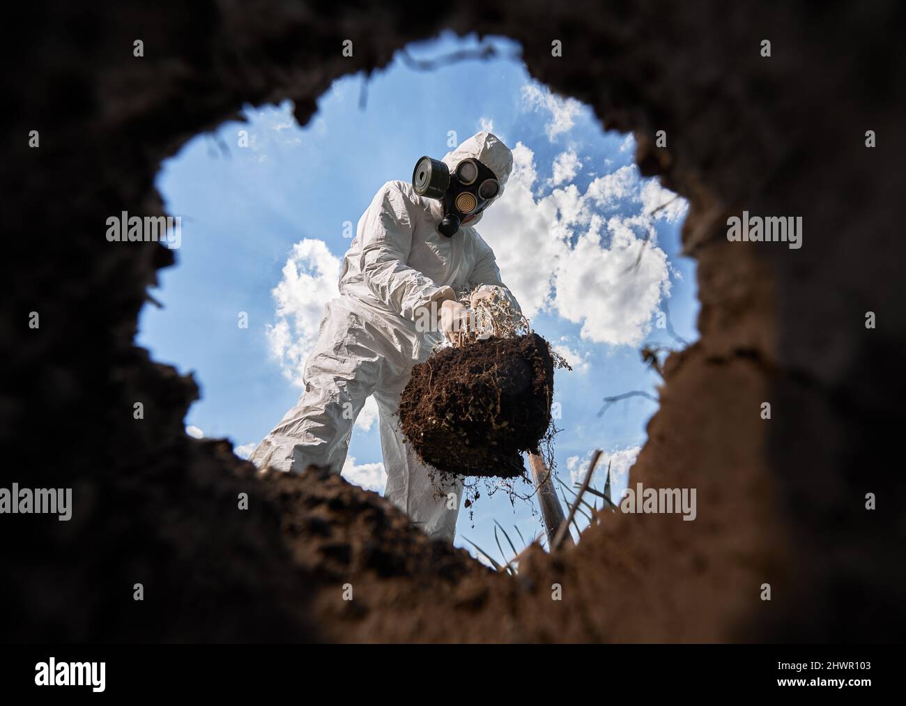 View from inside pit of ecologist digging pit by shovel and planting ...