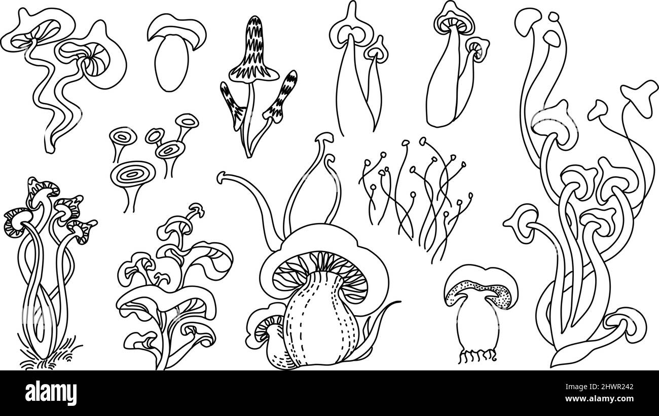 Fungi line drawing Stock Vector Images - Alamy