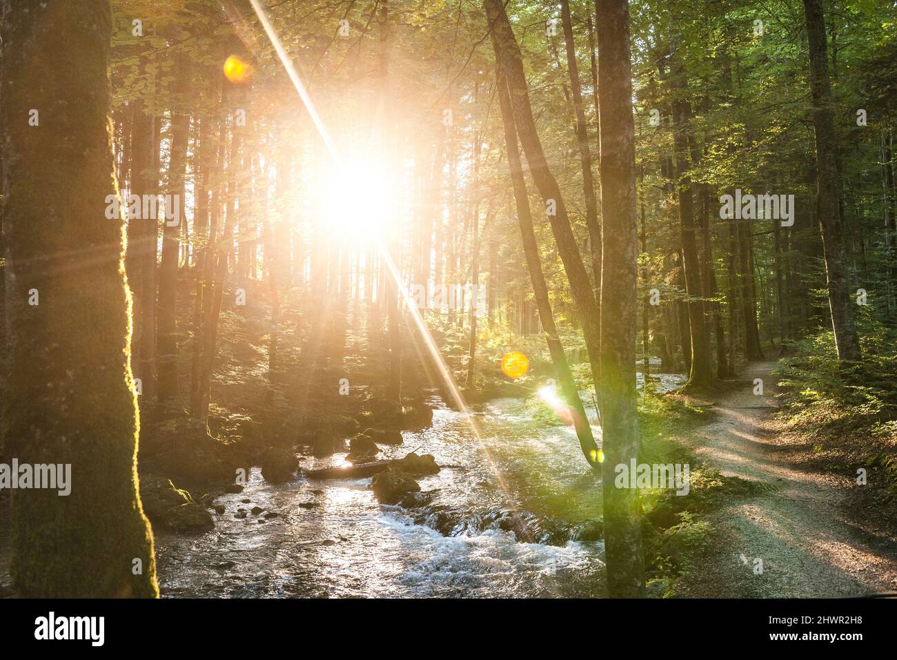 Stream flare hi-res stock photography and images - Alamy