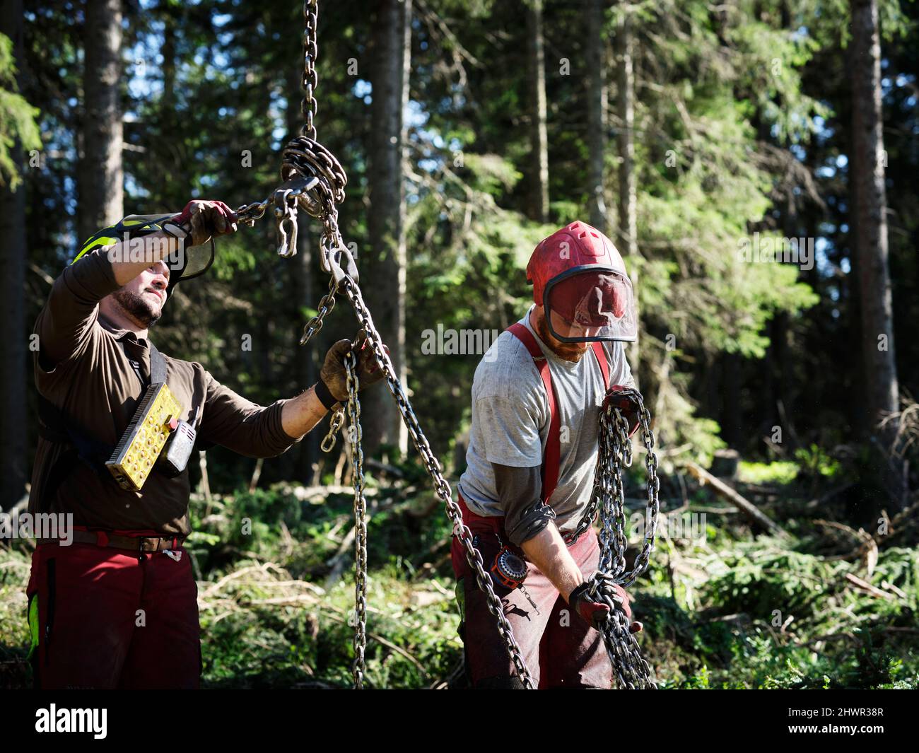 Coworker young hi-res stock photography and images - Alamy