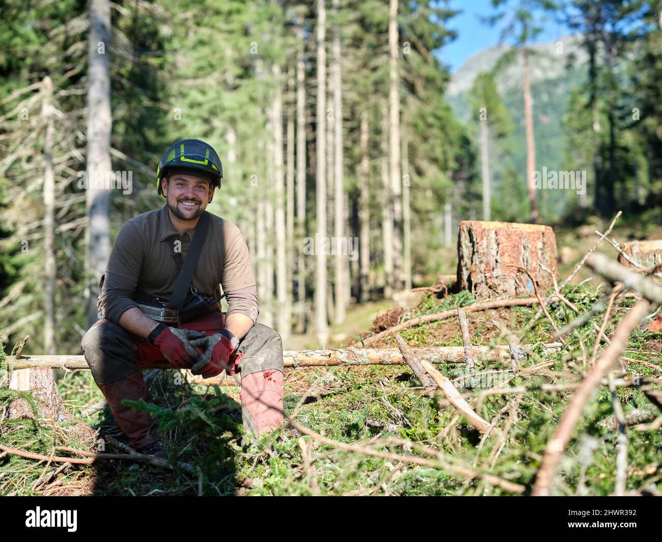 Smiling logger sitting on fallen tree in forest Stock Photo - Alamy