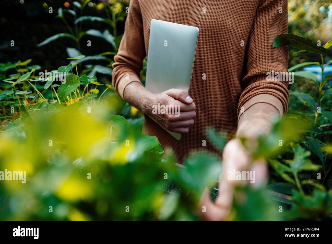 Back view of man computer hi-res stock photography and images - Alamy