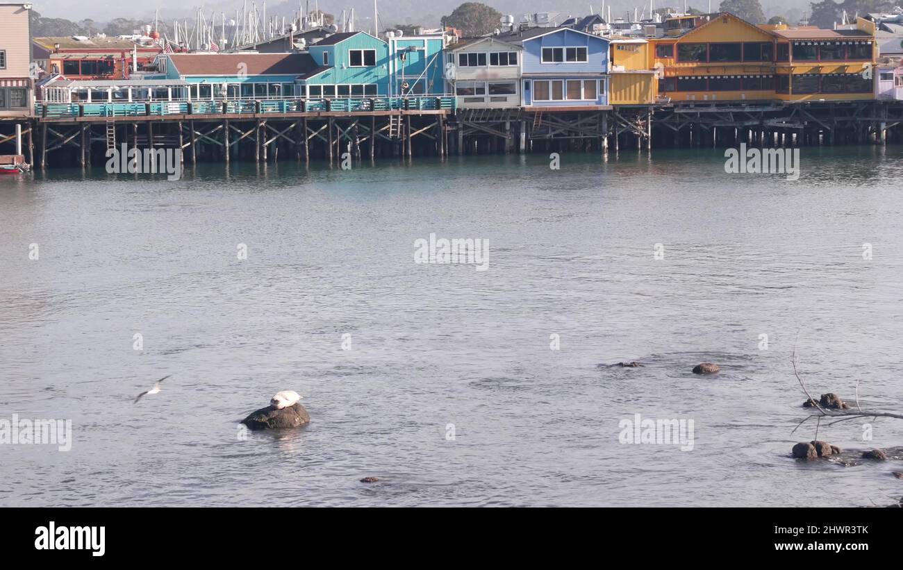 Colorful wooden houses on piles, pillars or pylons, ocean sea water ...