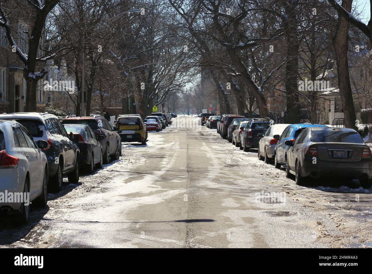 Typical standard residential side street in the Hyde Park neighborhood ...