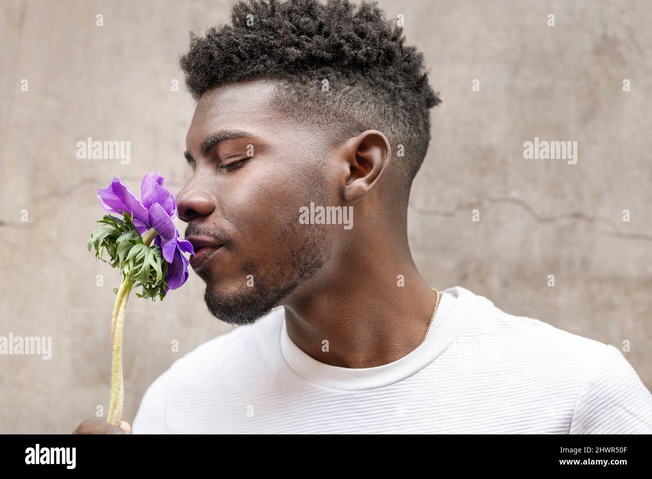 Smelling wall hi-res stock photography and images - Alamy