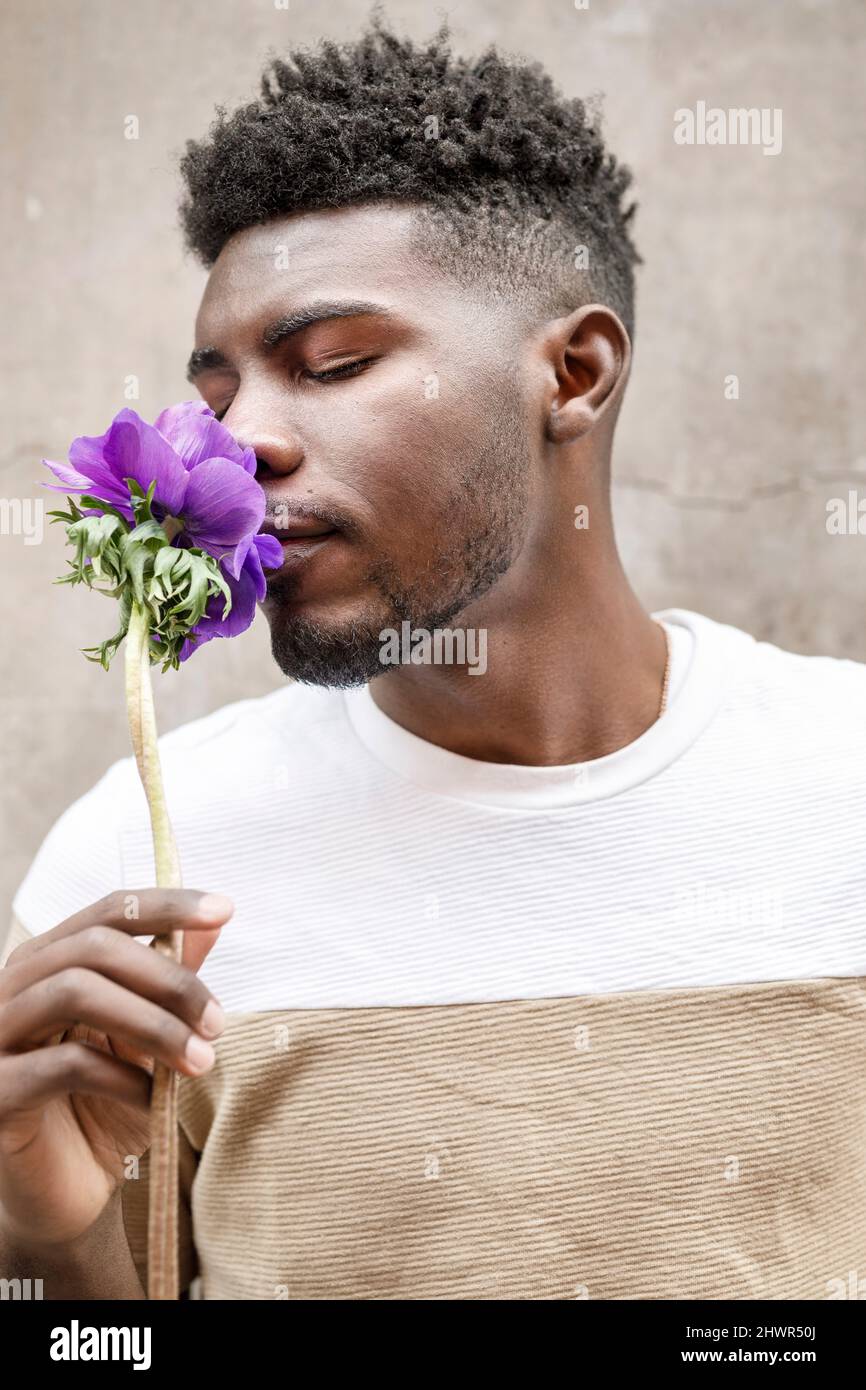 Young man with eyes closed smelling flower in front of wall Stock Photo ...