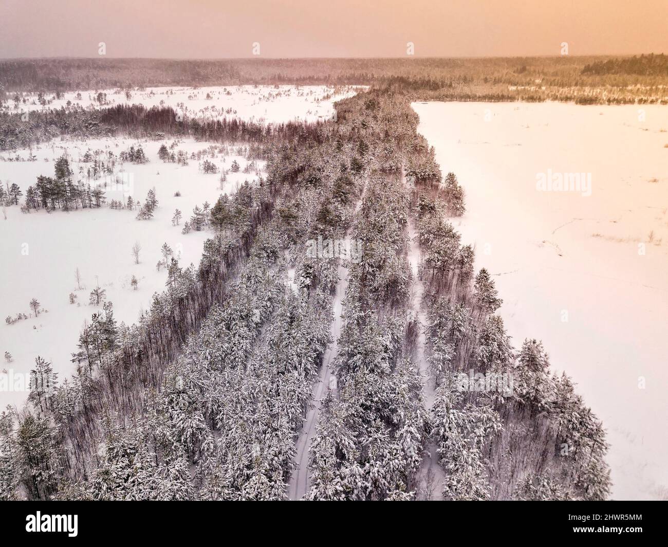 Aerial view forest covered hi-res stock photography and images - Alamy