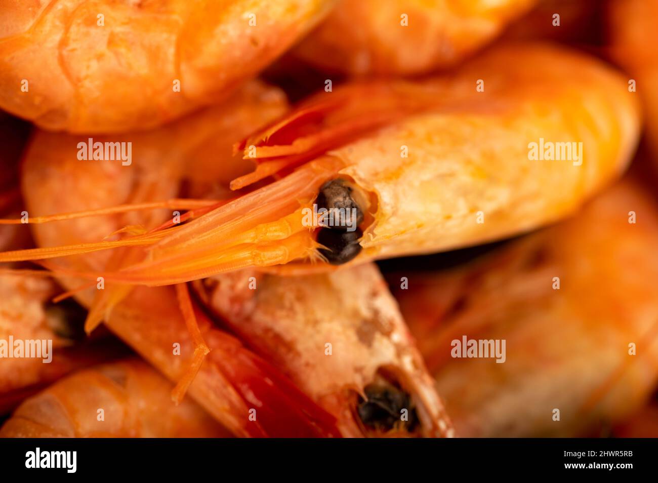 Atlantic shrimp cooked with allspice and bay leaf close-up, surface ...