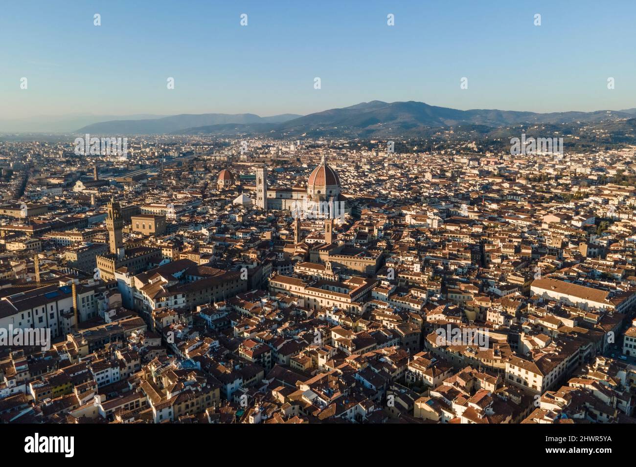 Florence cathedral birds hi-res stock photography and images - Alamy