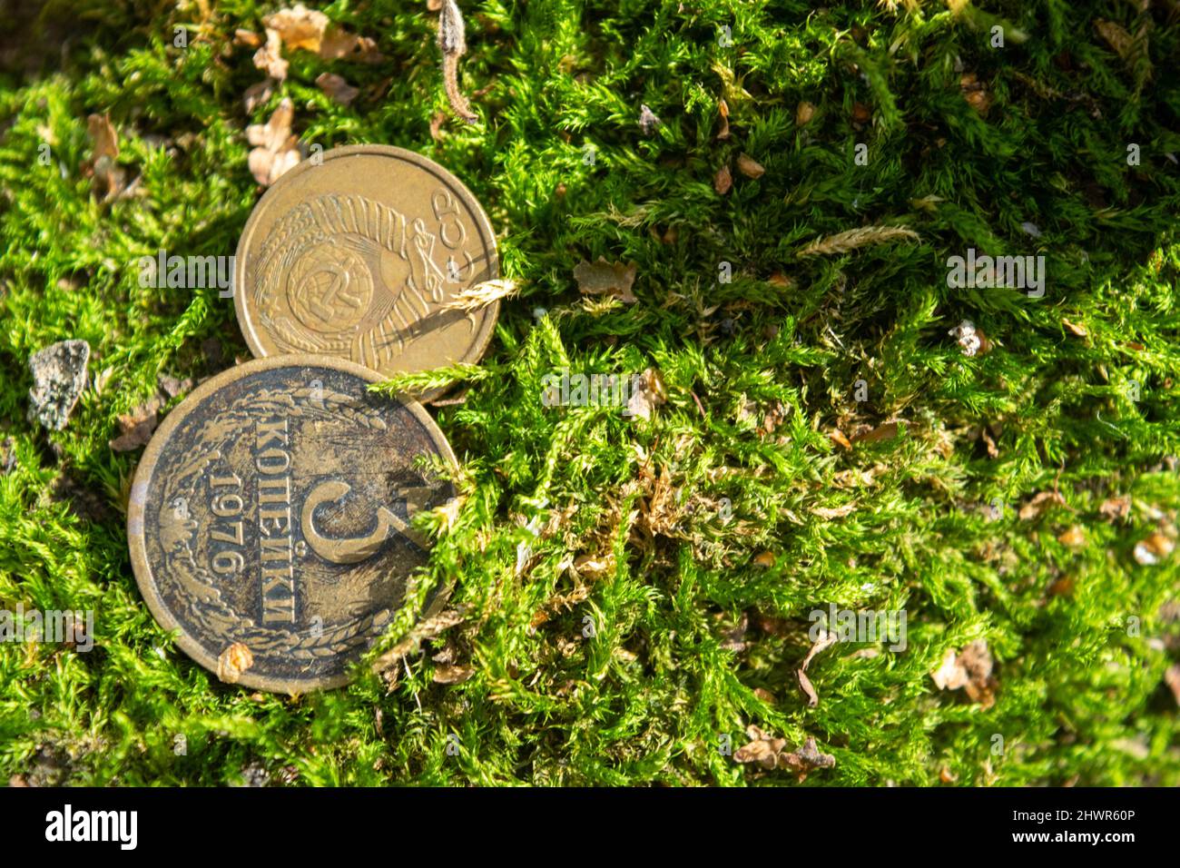 Green tree pixel design hi-res stock photography and images - Alamy