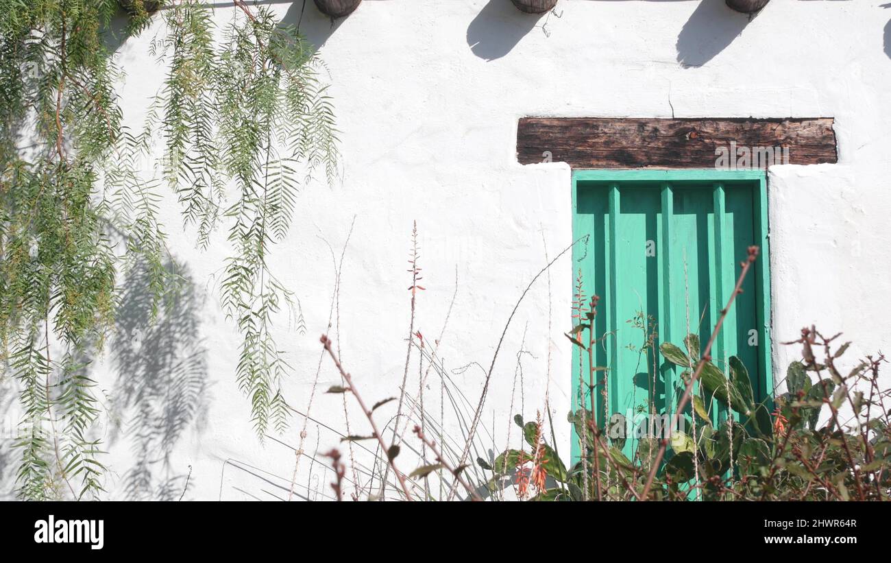 Succulent plant, cactus by white wall with green wooden window, mexican ...