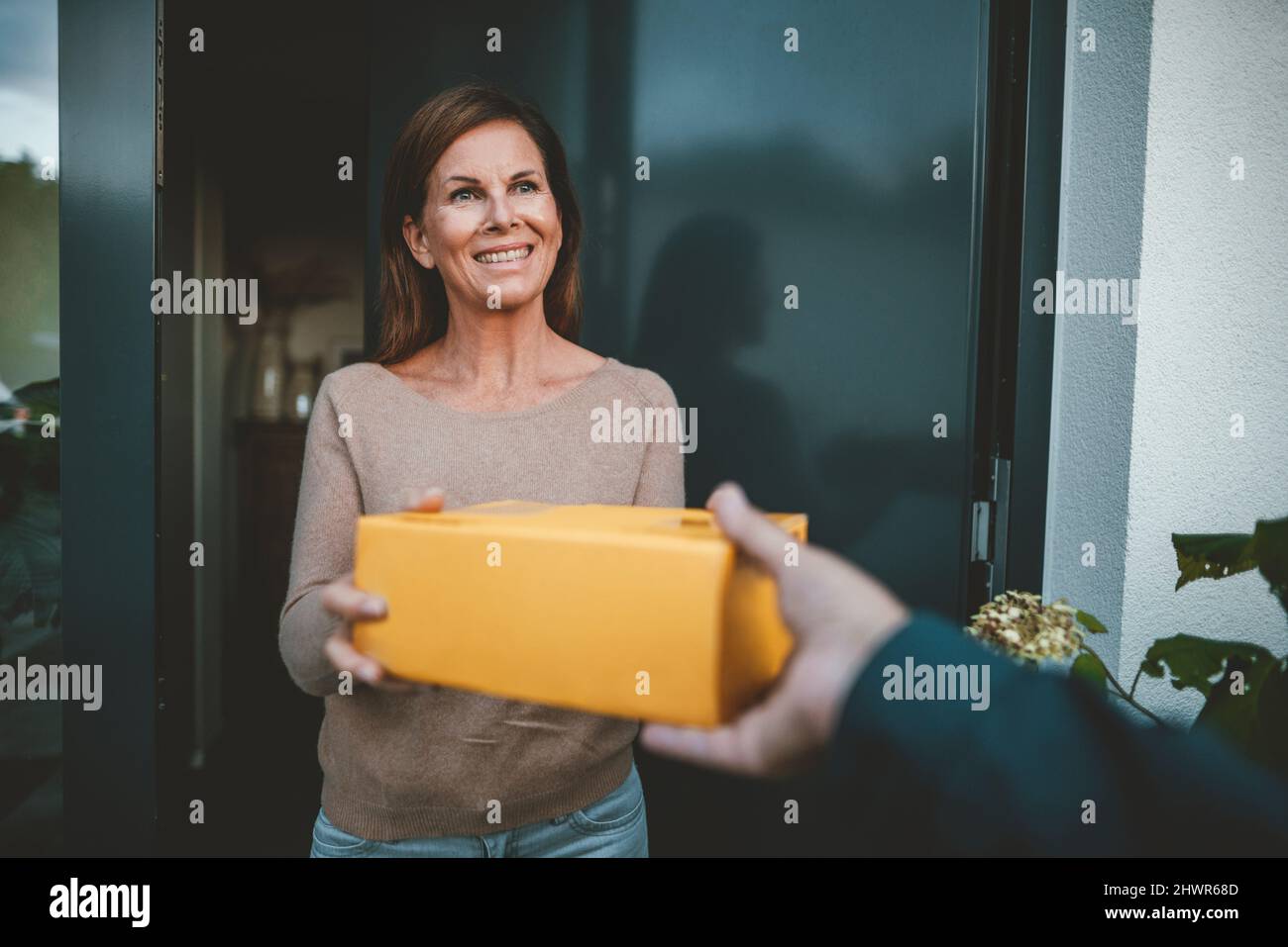 Happy woman receiving package from delivery person at doorway Stock ...