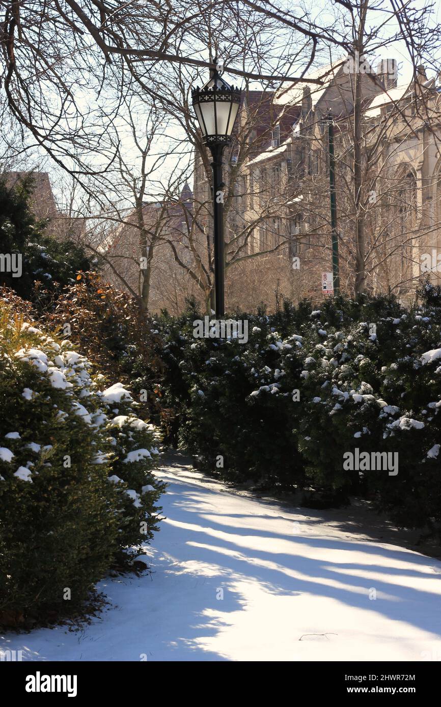 Old Gothic medieval cast iron street lamp standing in the courtyard ...