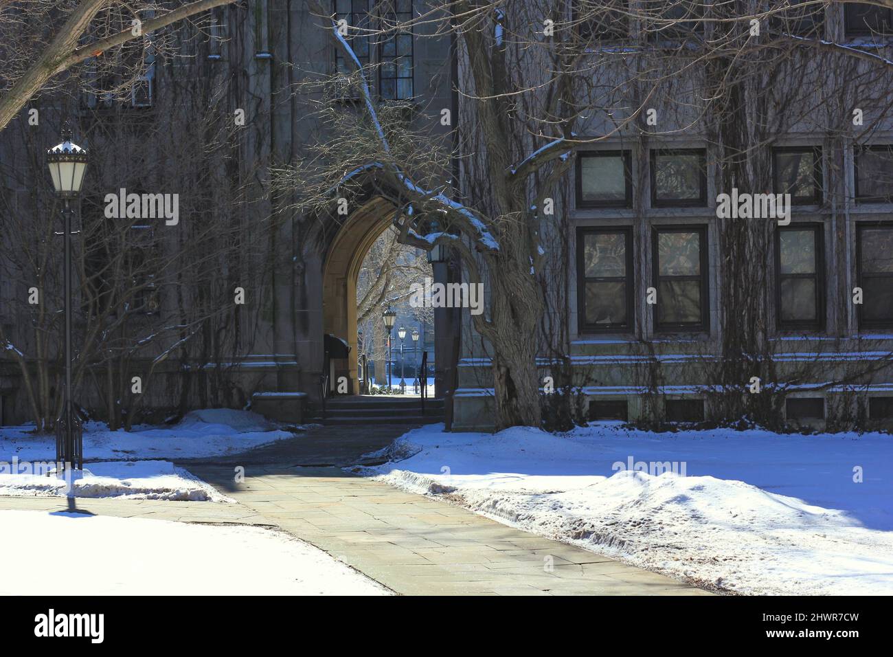 Old Gothic medieval courtyard on The University of Chicago campus Stock ...