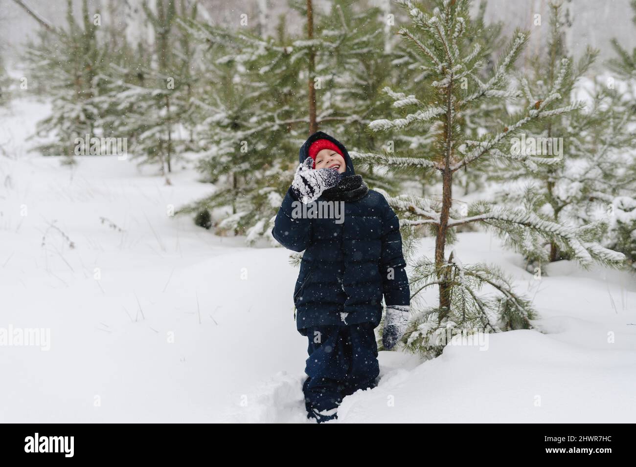 Warm weather tree hi-res stock photography and images - Alamy