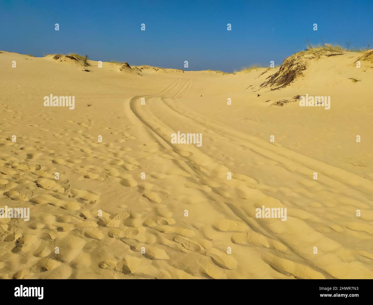 Oleshky sands in ukraine hi-res stock photography and images - Alamy