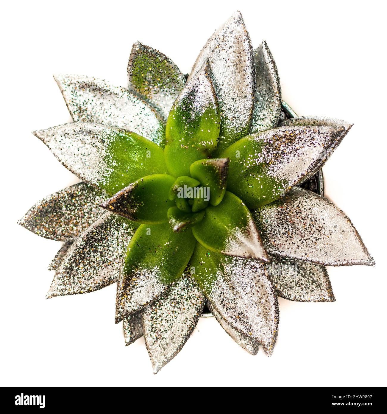 Covered in silver hi-res stock photography and images - Alamy