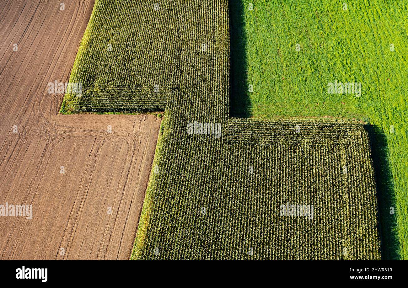 Corn field drone hi-res stock photography and images - Alamy