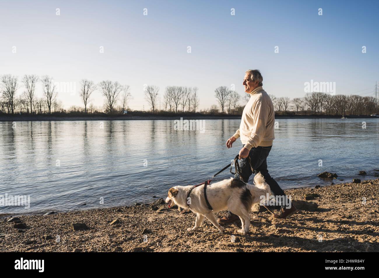 Man walking with dog at beach Stock Photo - Alamy