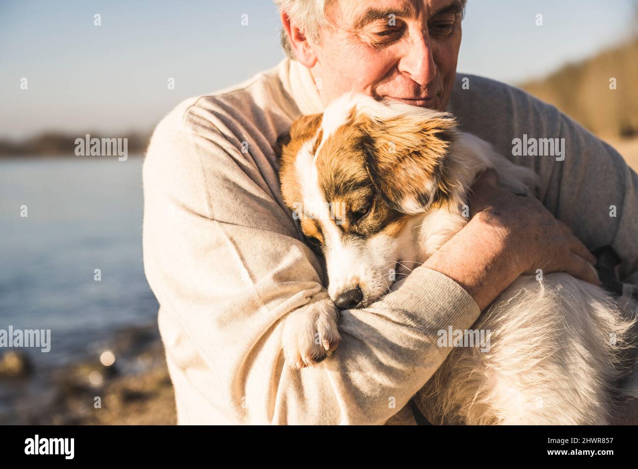 THE JUDGE WHO BROKE DOWN: A STORY OF JUSTICE, SUFFERING, AND A DOG WHO ...