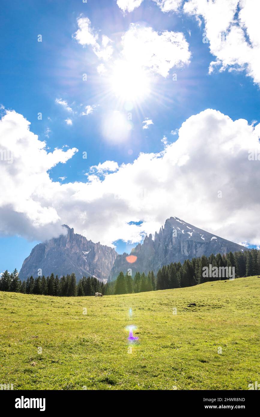 Seiser alm italy on hi-res stock photography and images - Alamy
