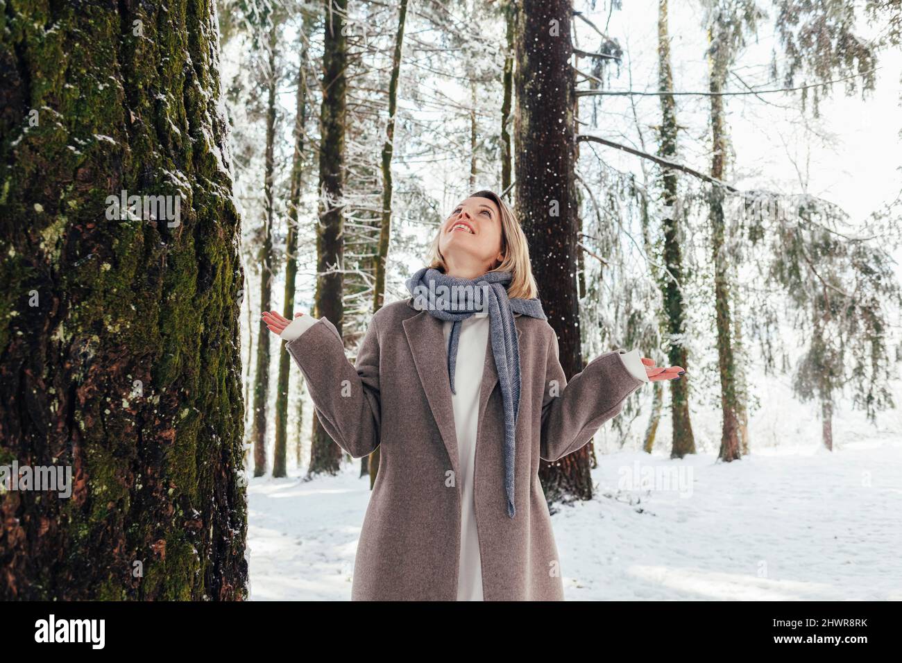 With forest scarf hi-res stock photography and images - Alamy