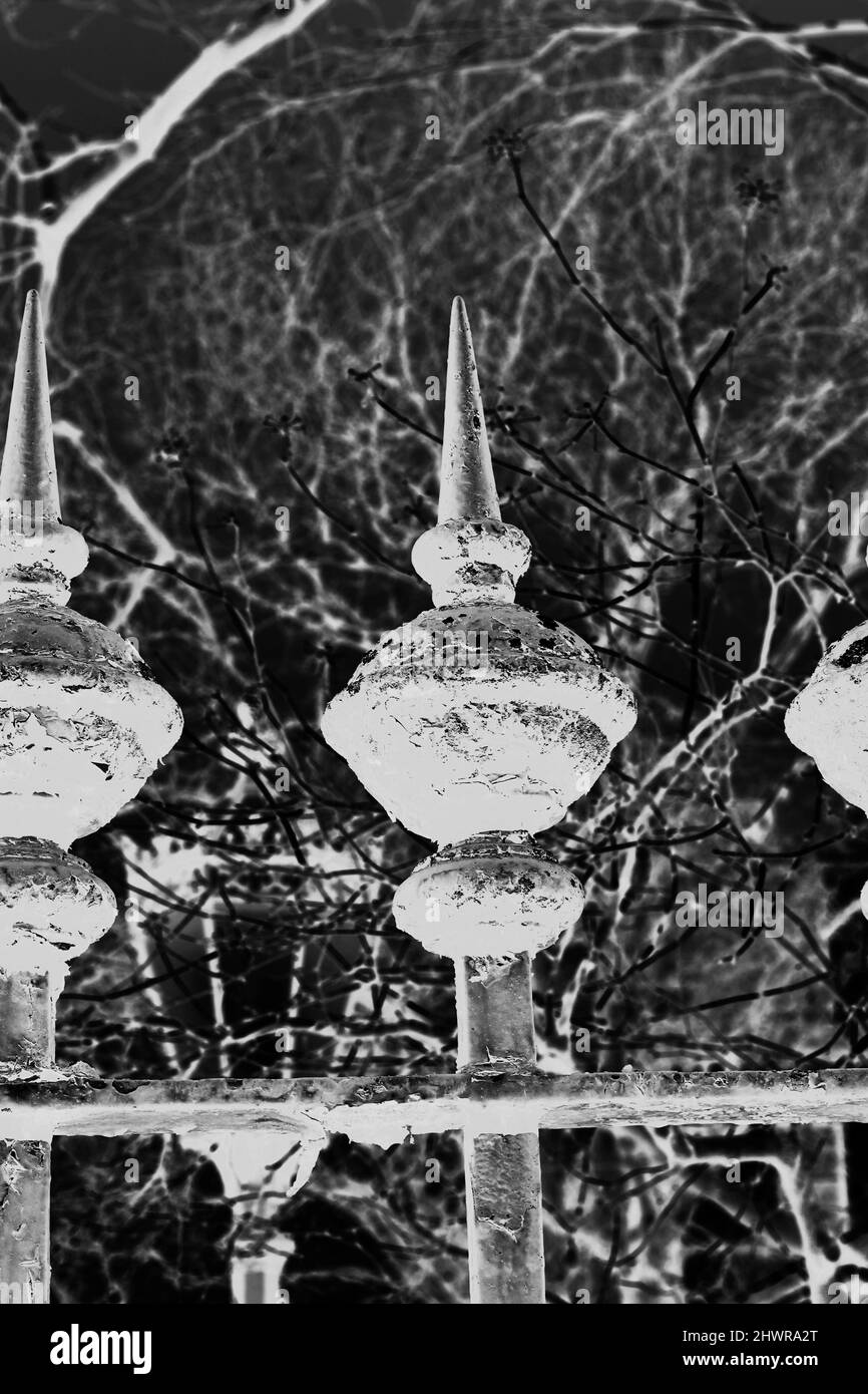 Old Gothic medieval cast iron protective fence with an ornamental motif ...