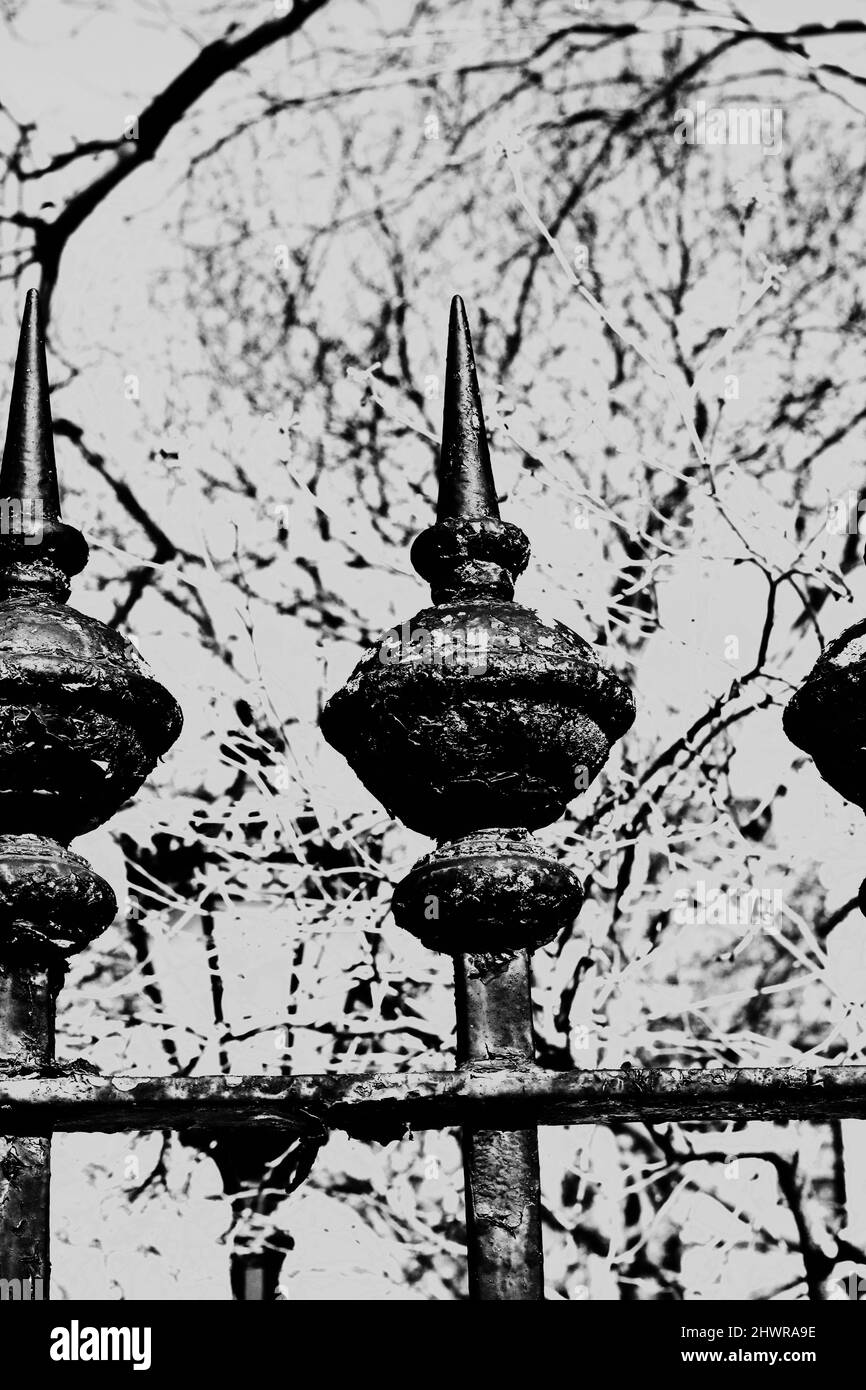 Old Gothic medieval cast iron protective fence with an ornamental motif ...