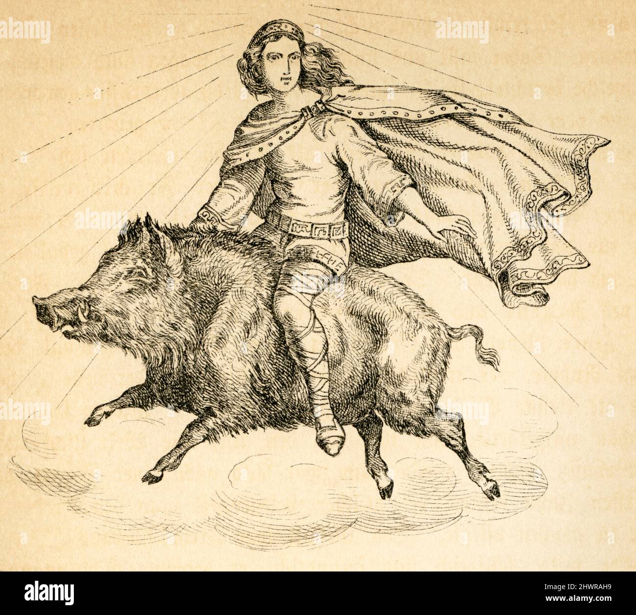 Frey Viking God Boar