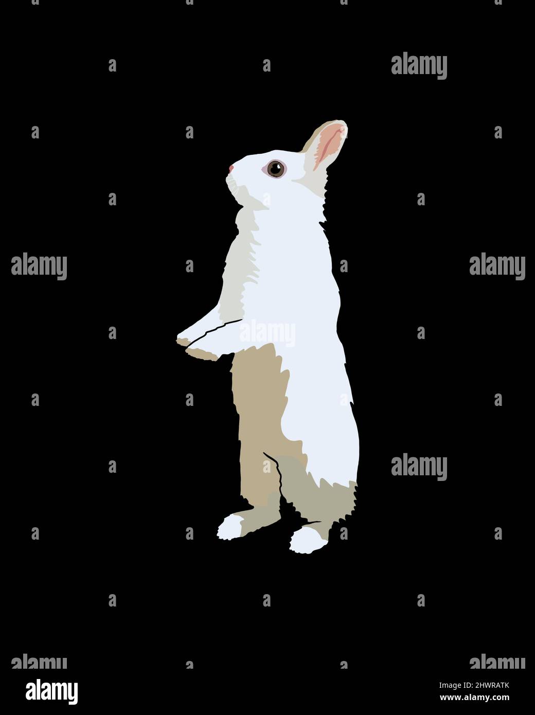 Cute white rabbit standing on hind legs - black background Stock Photo ...
