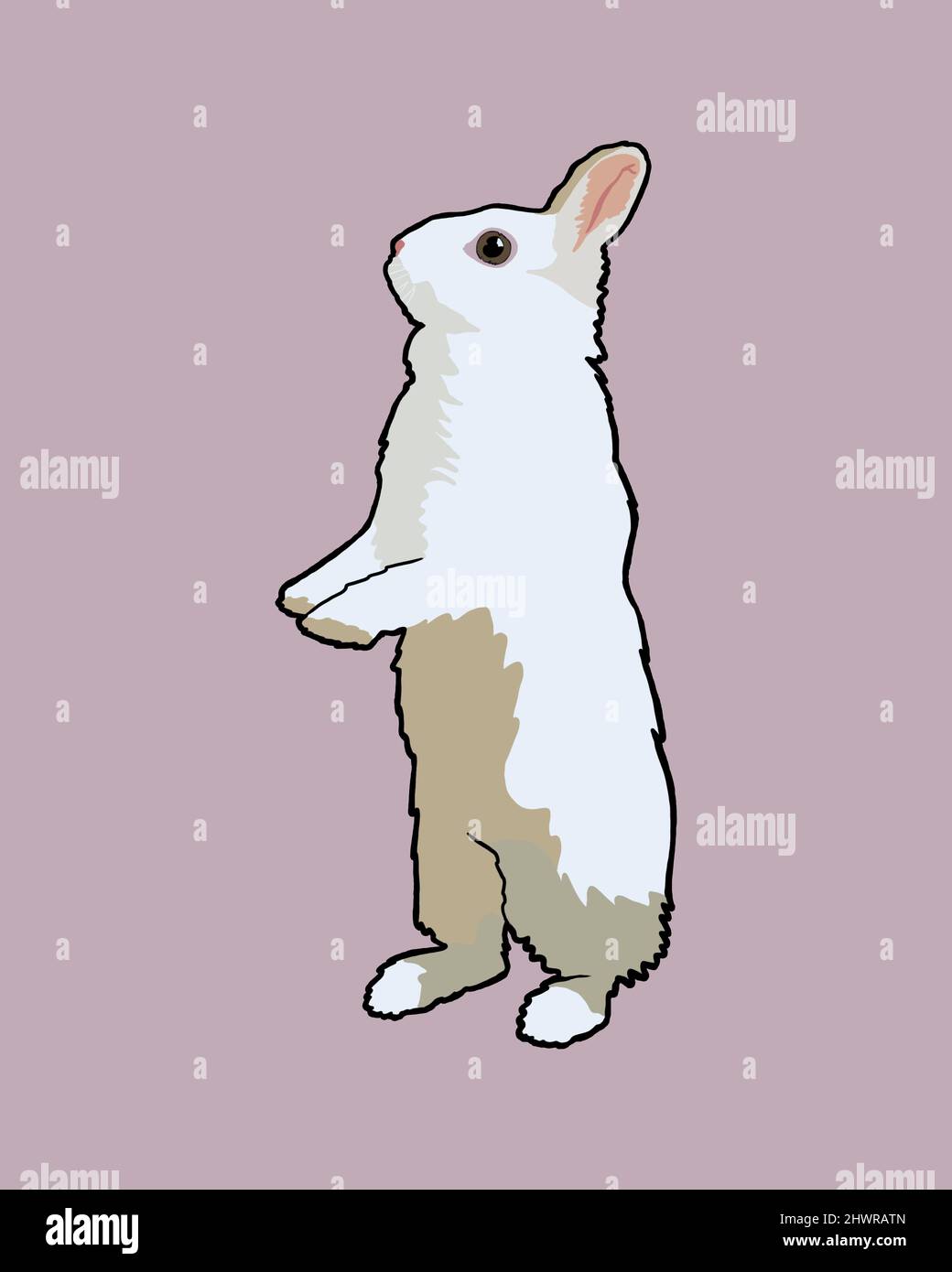Cute white rabbit standing on hind legs - pink background Stock Photo ...