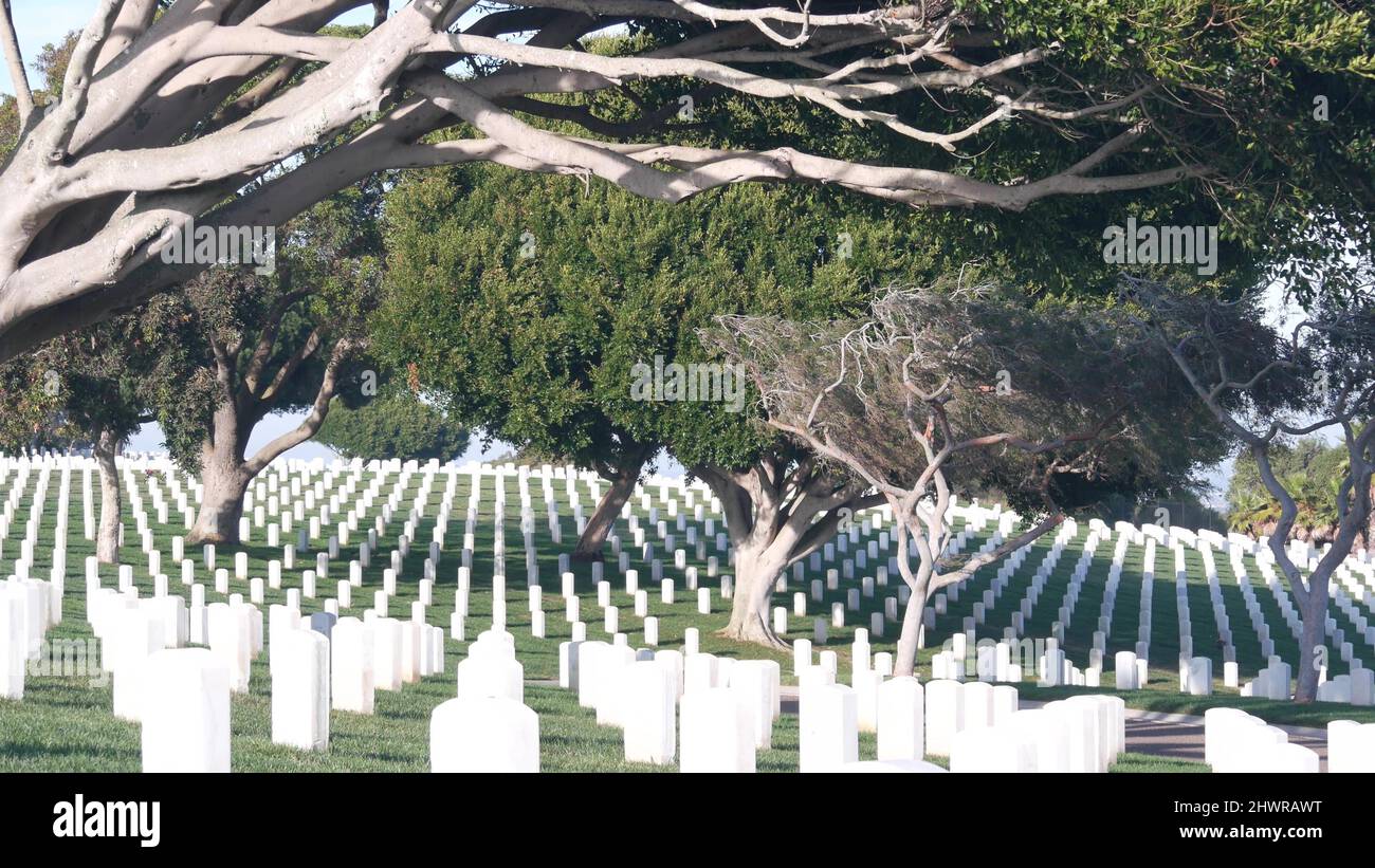 Tombstones on american military national memorial cemetery, graveyard ...