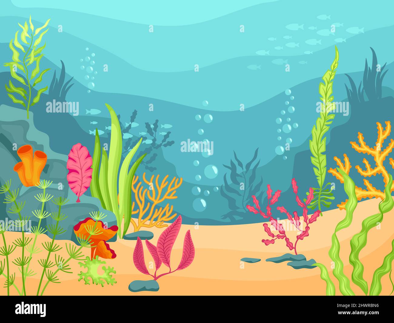 Aquatic Biome Wallpaper