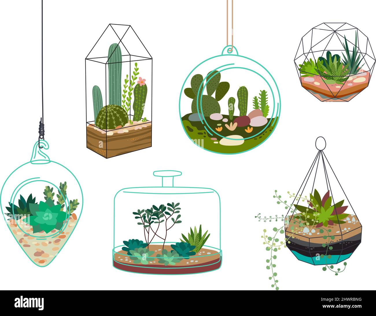 Succulents plants. Indoor bunch eucalyptus and cacti. Hygge succulent ...