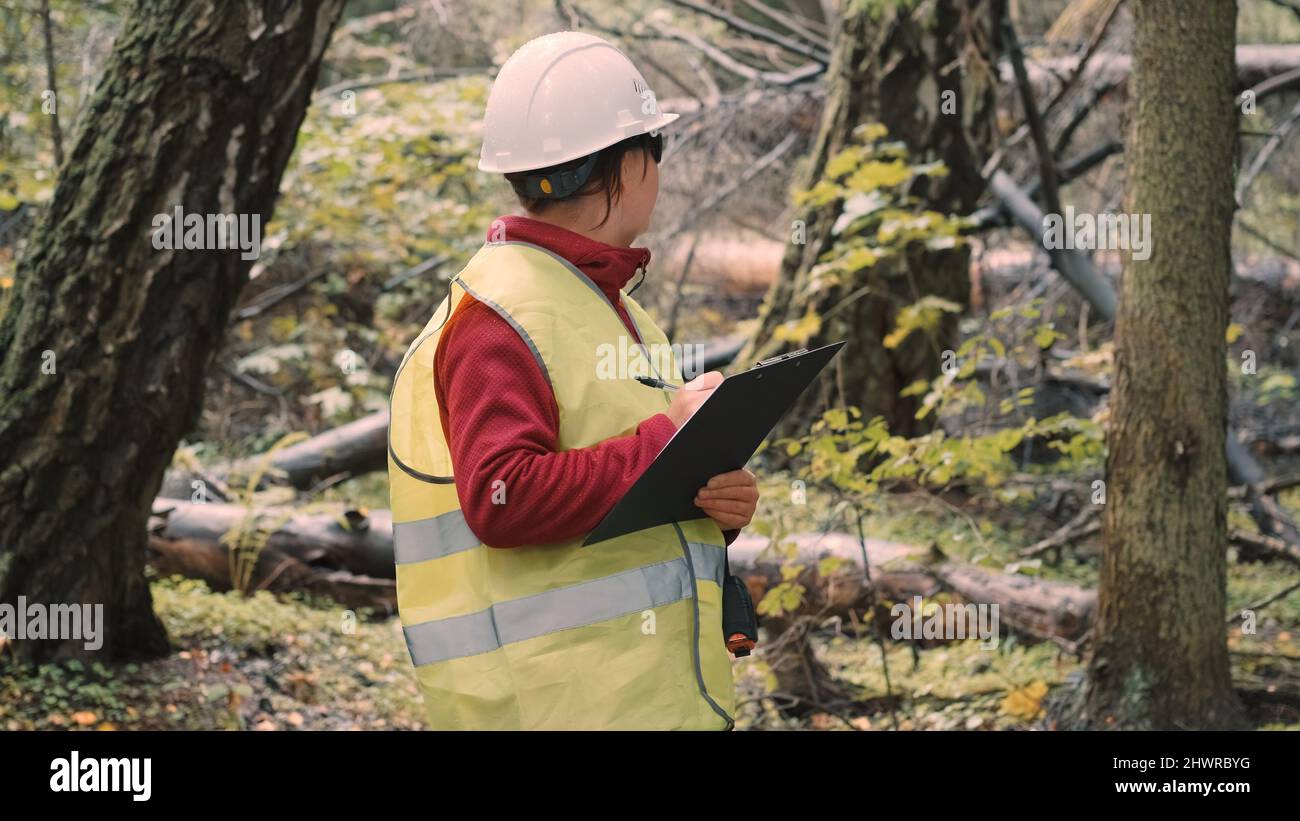 Female ecologist documents damage to forest after hurricane, felled ...