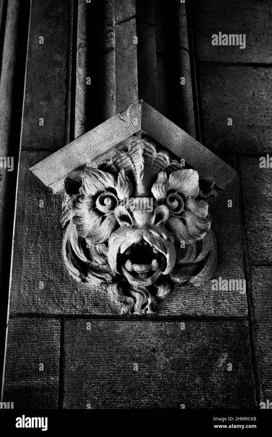 Old Gothic medieval roaring gargoyle lion as a decoration for a stone ...