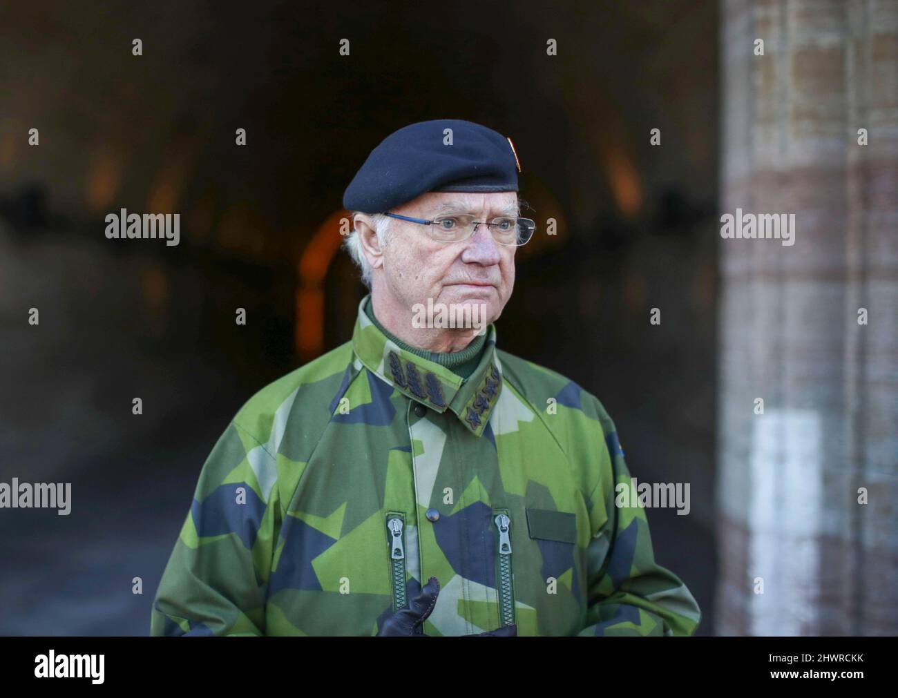 King Carl Gustaf attends a standard handover at the Life Regiment ...