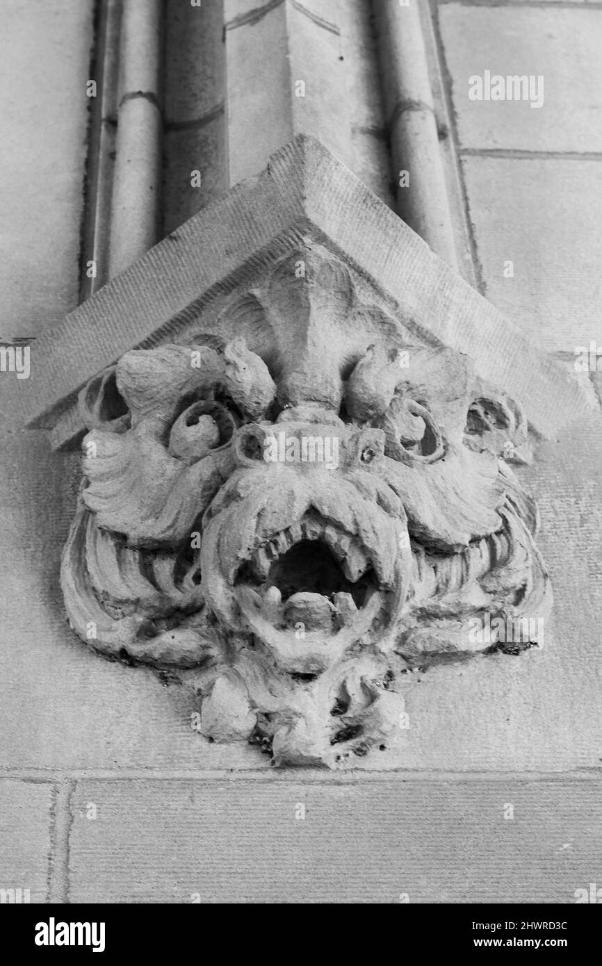 Old Gothic medieval roaring gargoyle lion as a decoration for a stone ...
