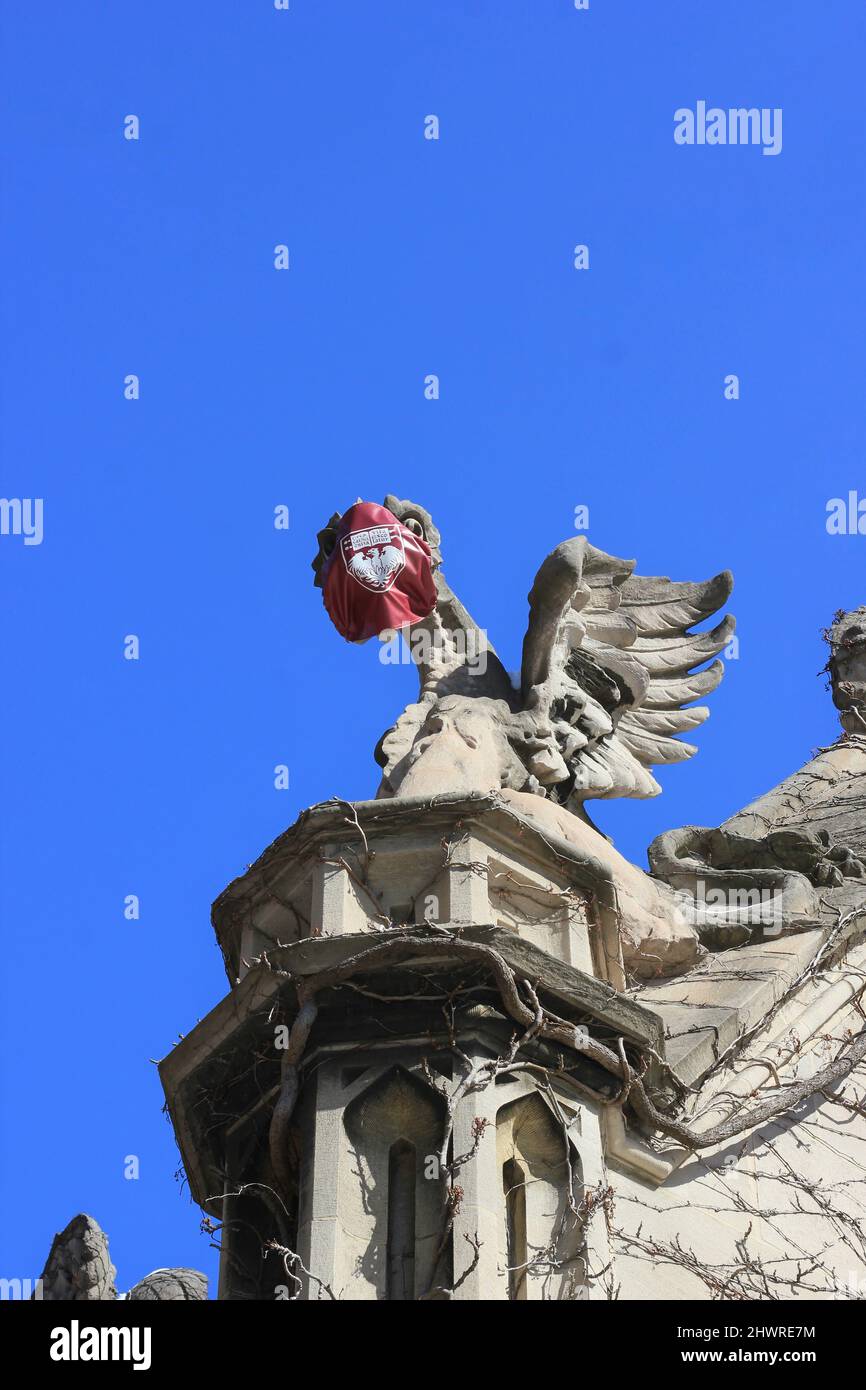Old Gothic medieval gargoyle wearing a covid 19 pandemic face mask ...