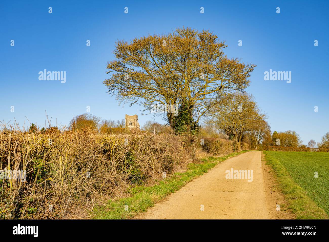 Looking back at Church of Holy Trinity Pleshey from a footpath to the ...