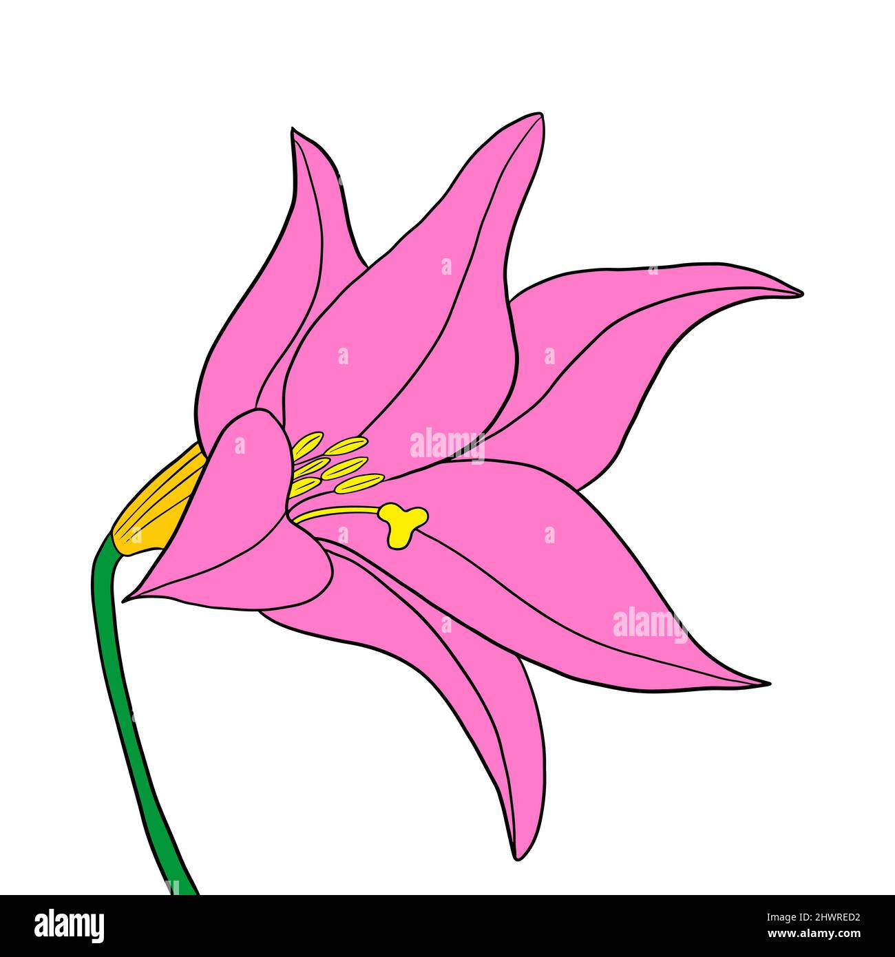 Flower Pop Art Style Illustration Comic Book Style Imitation Vector