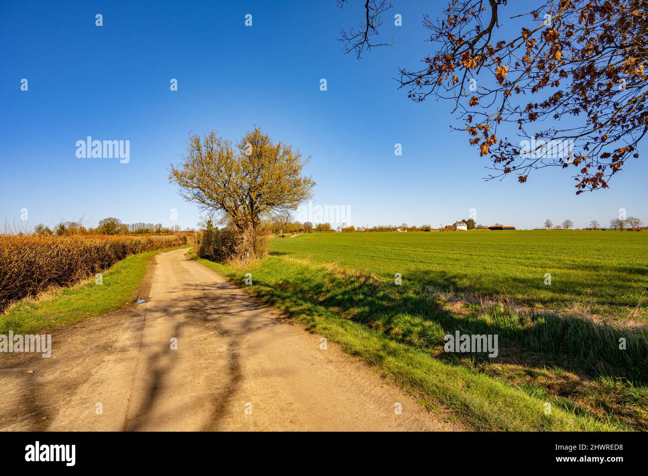 Looking back at Pleshey from a footpath to the south of village Essex ...