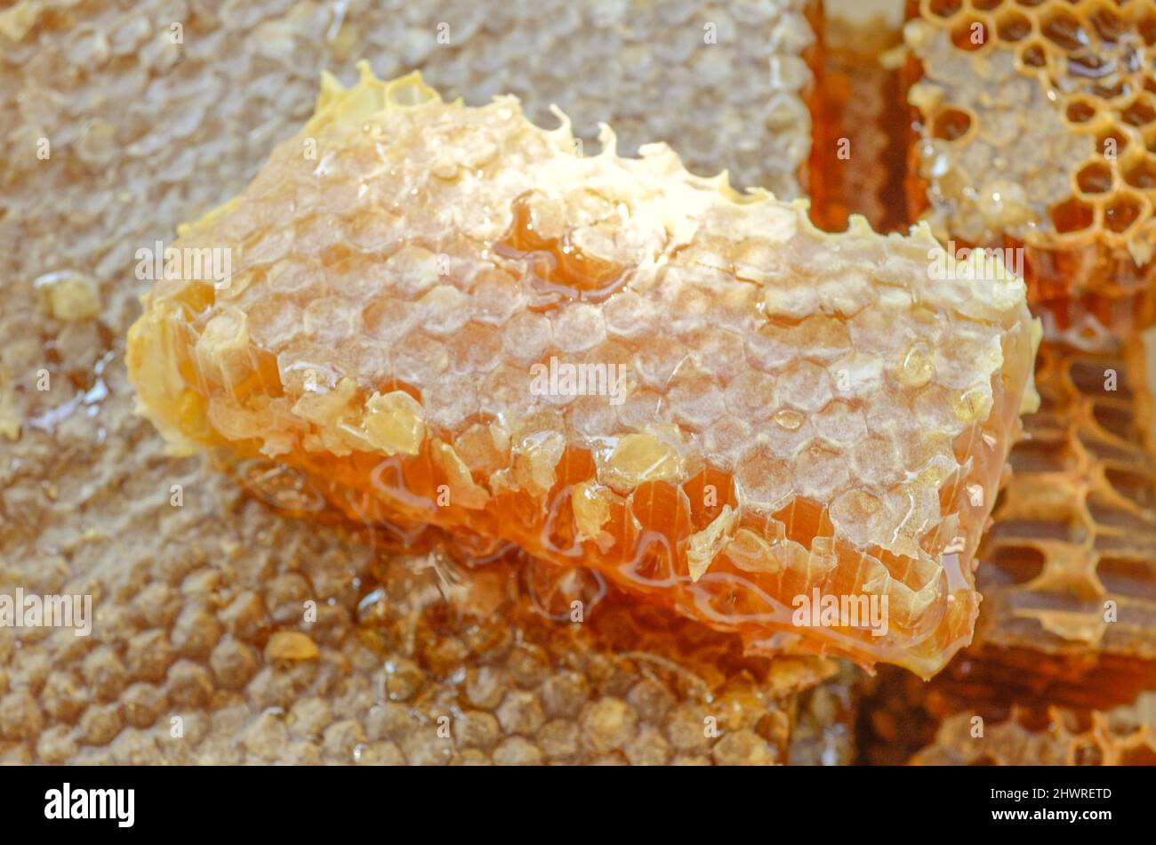 Honey comb, Bees wax, Natural Honey Stock Photo - Alamy